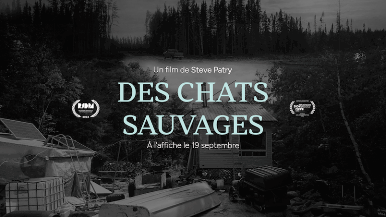 Le long métrage documentaire «Des chats sauvages» de Steve Patry ...